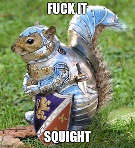 Squirrel Knight Scrolller