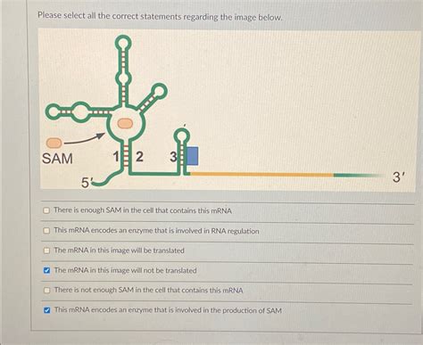 Solved Please Select All The Correct Statements Regarding