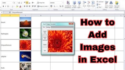 How To Add Images In Excel How To Insert Image In Excel Cell Step By Step Guide YouTube