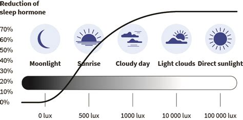 Light Changes Over The Day Fagerhult International
