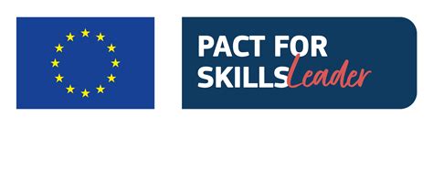 How To Build A Skills Based Organisation In 5 Steps