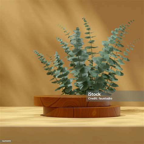 3d 렌더링 모형 공간 나무 질감 연단 정사각형 유칼립투스 잎과 노란색 벽 0명에 대한 스톡 사진 및 기타 이미지 0명 3차원 형태 갈색 Istock