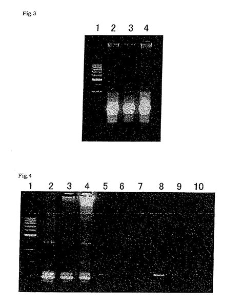 Nucleic Acid Sequence Based Amplification Patented Technology Retrieval