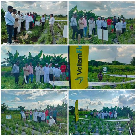 Agriculture Farming Innovation Technology Information Sustainability Effectiveness