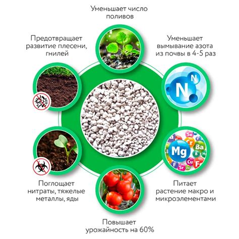 Купить Удобрение БИО комплекс Цеолит 1л недорого по цене 91руб Garden