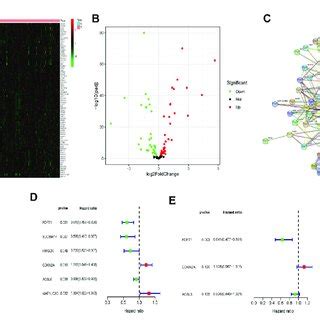 Identification Of Different Expressional Levels Of Download Scientific Diagram