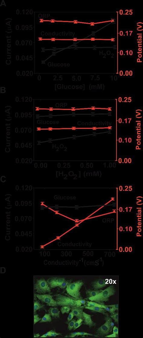 Multiplexed Electrochemical Analysis And Cell Culture Imaging Download Scientific Diagram