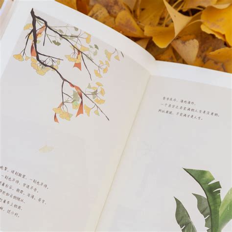 【新华书店旗舰店官网】正版包邮时间从来不语却回答了所有问题文学大师季羡林著百岁人生的智慧精粹未来不足惧过往不须泣虎窝淘