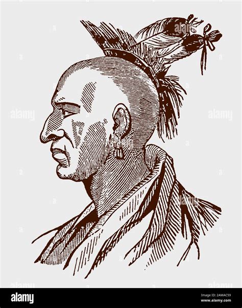 Cayuga Nation Stock Vector Images Alamy