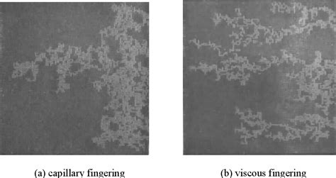 Figure 2 From Recent Advances In Multiphase Flows Through Porous And Fractured Media Semantic
