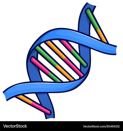 Dna Or Chromosome Cartoon Isolated Royalty Free Vector Image