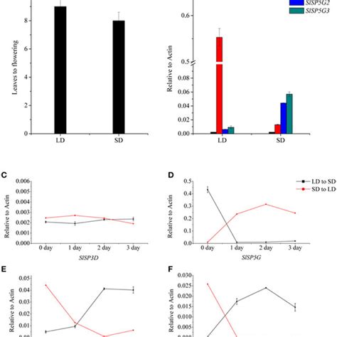 Model Of The Photoperiod Effect On Flowering In Tomato The Expression Download Scientific