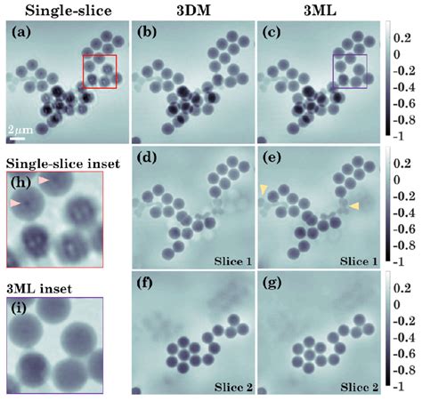 Experimental Reconstructions Of Microspheres On Membranes At 6 2 Kev Download Scientific