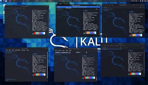 Debian O Kali Linux ¿qué Distro Debo Instalar En Mi Pc