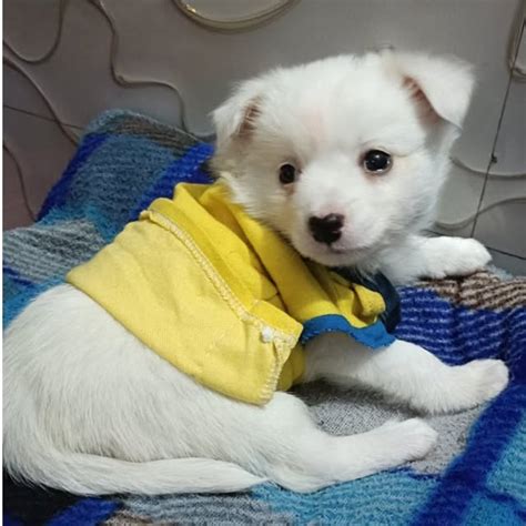 Coco Coco Threads Say More