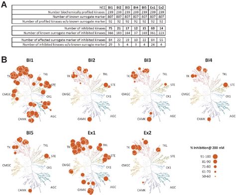 Kinase Selectivity A Each Compound Was Profiled Against A Panel Of Download Scientific
