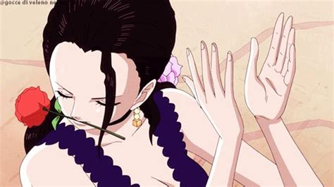 One Piece Viola Tumblr One Piece