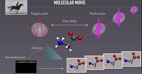 Molecules In Motion How Ultrashort Light Pulses Make The Ultrafast Movie Rcantorsparadise