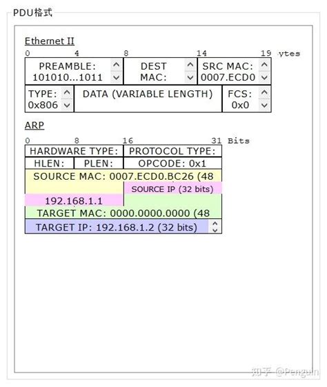 计算机网络 交换机vlan实验 知乎