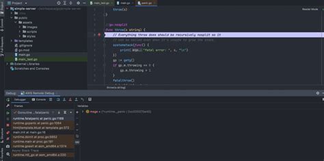 Remote Debugging In Golang And Java Golang Docs
