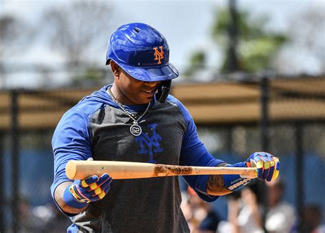 What Type Of Wood Are Mlb Bats Made Of