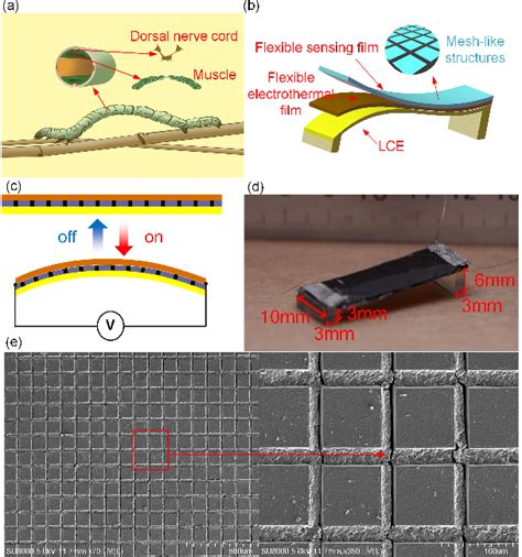 Figure 1 From Inchworm Inspired Soft Robot With Controllable Locomotion Based On Self Sensing Of