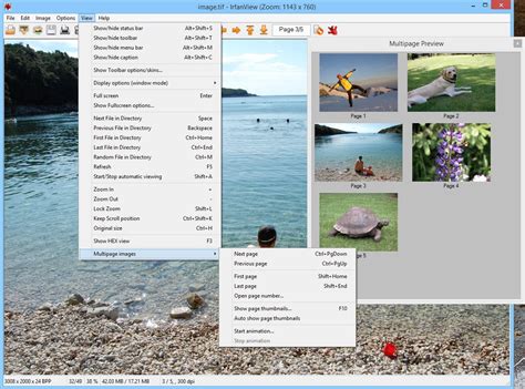 Irfanview Alternatives And Similar Software