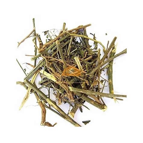 Dried Chirata Leaves At ₹ 80 Kg Chirata Churna In Neemuch Id