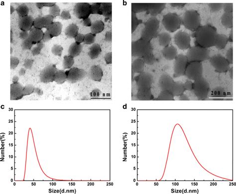 Tem Image Of Pcl Peg Nps A And 106 Nps B Size Distribution