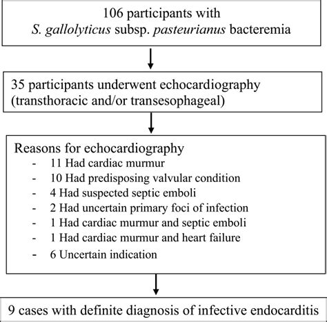 Is Echocardiography Mandatory For All Streptococcus Gallolyticus Subsp Pasteurianus Bacteremia