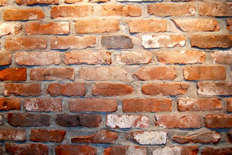 Brick Veneer Wall Tile At Eden Lester Blog