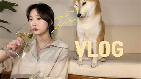 Vlog 직장인 브이로그퇴근 후 혼술인데이렇게 많이치킨과 와인베테랑 칼국수 밀키트랑 매운 김치화이트 와인 추천