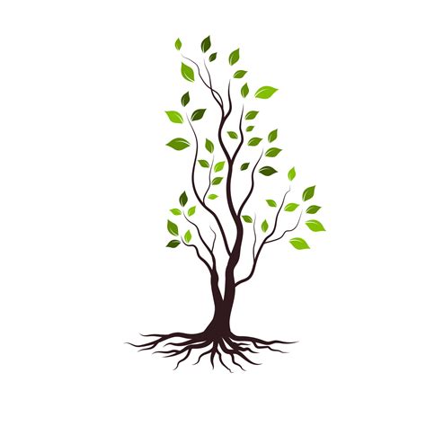 Tree Branch Vector Ilustration Design Vector Art At Vecteezy
