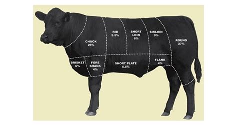 8 Primal Cuts Of Beef