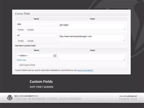 Custom Wordpress Theme Development Pptx