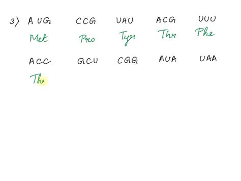 Solved The Following Gene Sequence Appears On One Strand Of A Segment