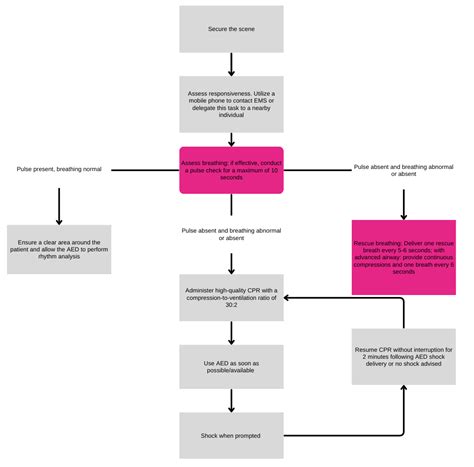 Bls Adult Algorithm Medicus Training