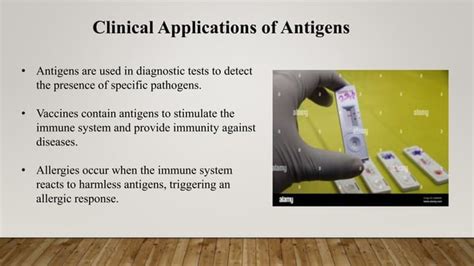 What Is Antigen Presentation Pptx Chemistry Ppt Ppt