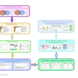Machine Learning Screening Genes And Modeling A LASSO Coefficient Download Scientific