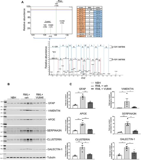 Markers Of Disease Modification Modulated By Vu846 Are Validated By