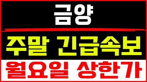 금양 주가전망 주말 긴급속보 월요일 상한가 금양 금양주가 금양주가전망 금양목표가 금양주식 리튬 에코프로 에코프로비엠
