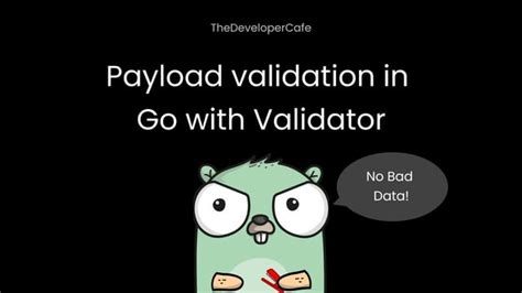 Payload Validation In Go With Validator Rprogramming