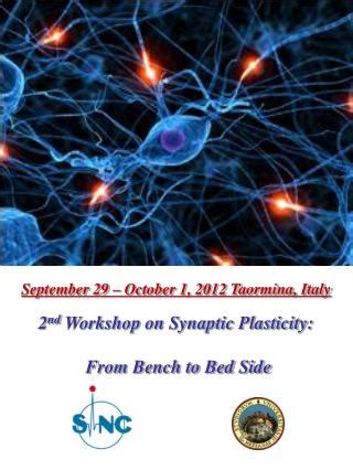 PPT Synaptic Plasticity PowerPoint Presentation ID
