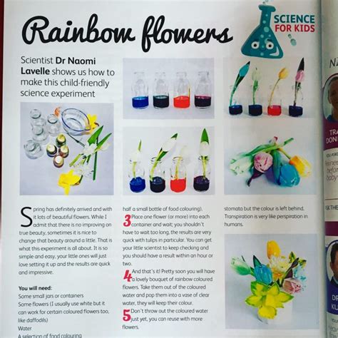 The Science Of Elasticity Energy And Rubber Dr How S Science Wows