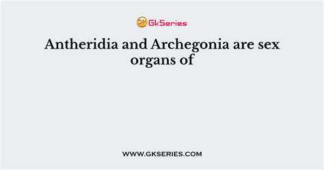 Antheridia And Archegonia Are Sex Organs Of