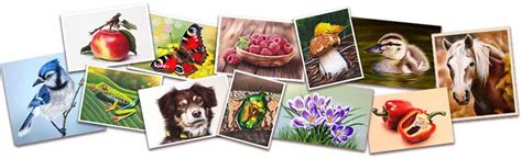 Уроки рисования карандашами и пастелью Курсы рисования