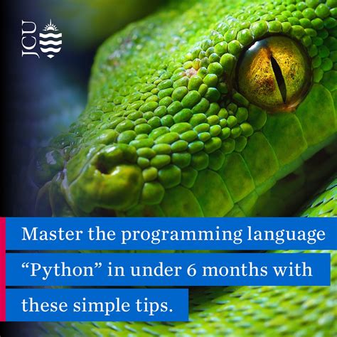 james cook university online postgraduate 🐍 python has been a top programming language since