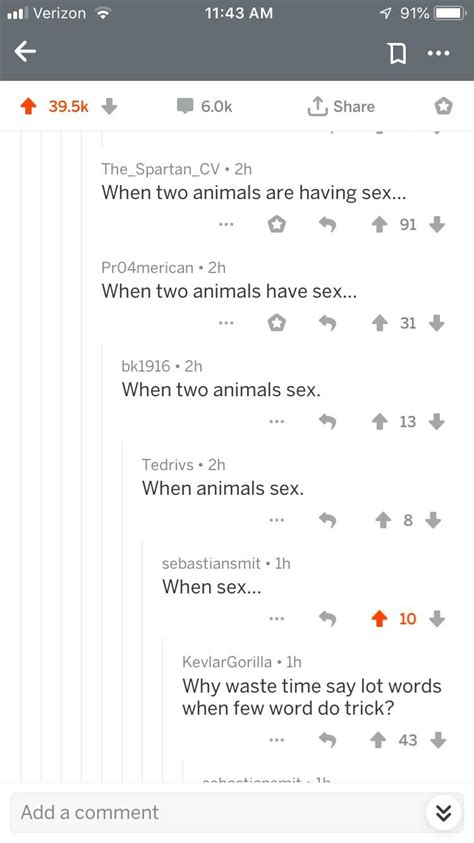 When Animals Have Sex Rdecreasinglyverbose