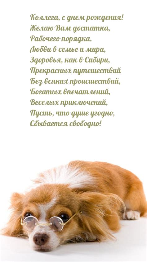 Открытки С Днем Рождения для коллег 453 шт