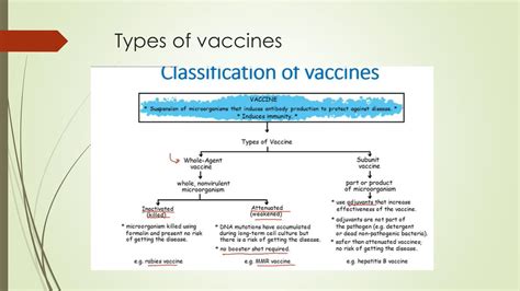 SOLUTION Types Of Vaccines Studypool
